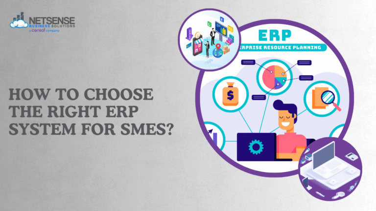 How to Choose the Right ERP System for SMEs?